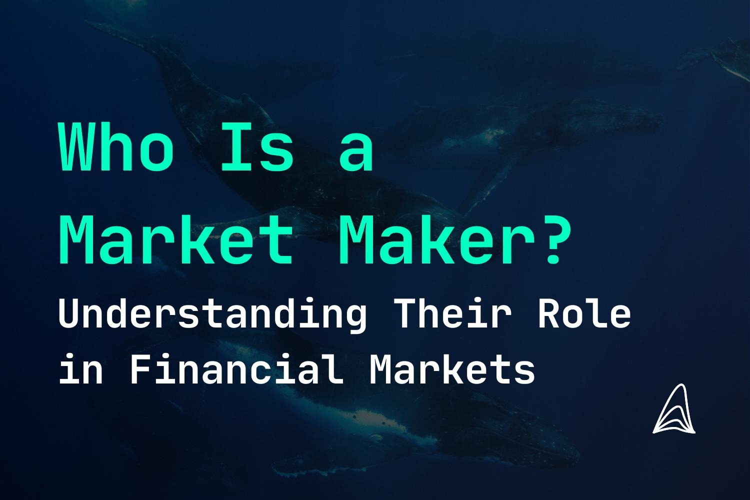 Who Is a Market Maker? Role, Types & Other Important Facts