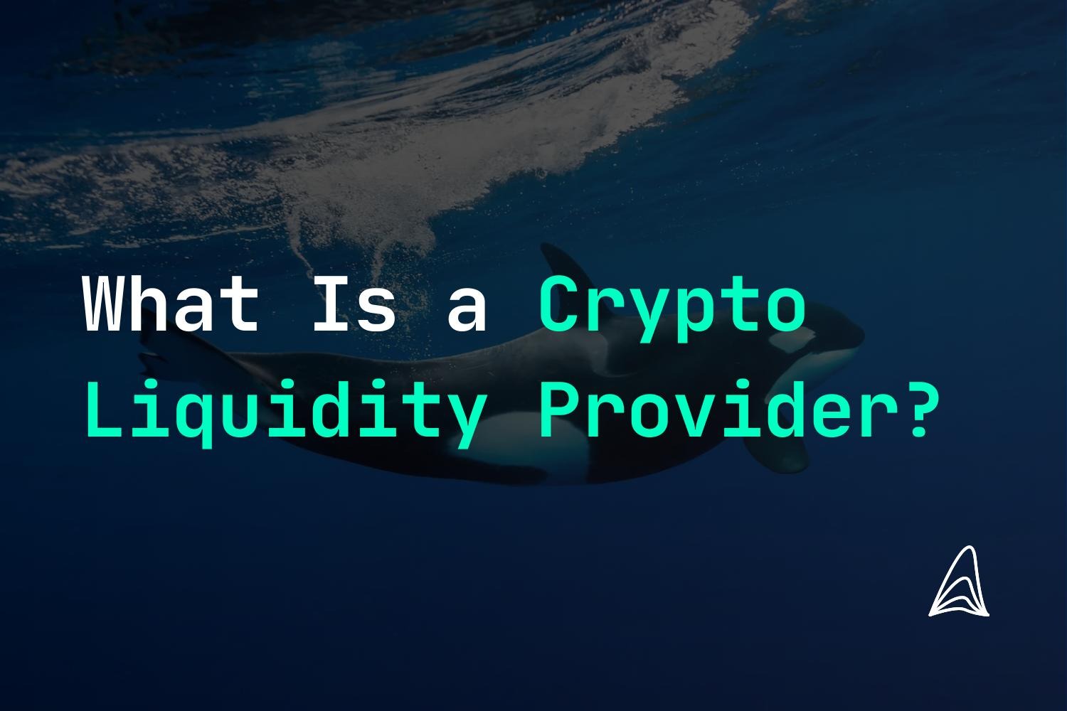 What Is a Crypto Liquidity Provider: Useful Insights