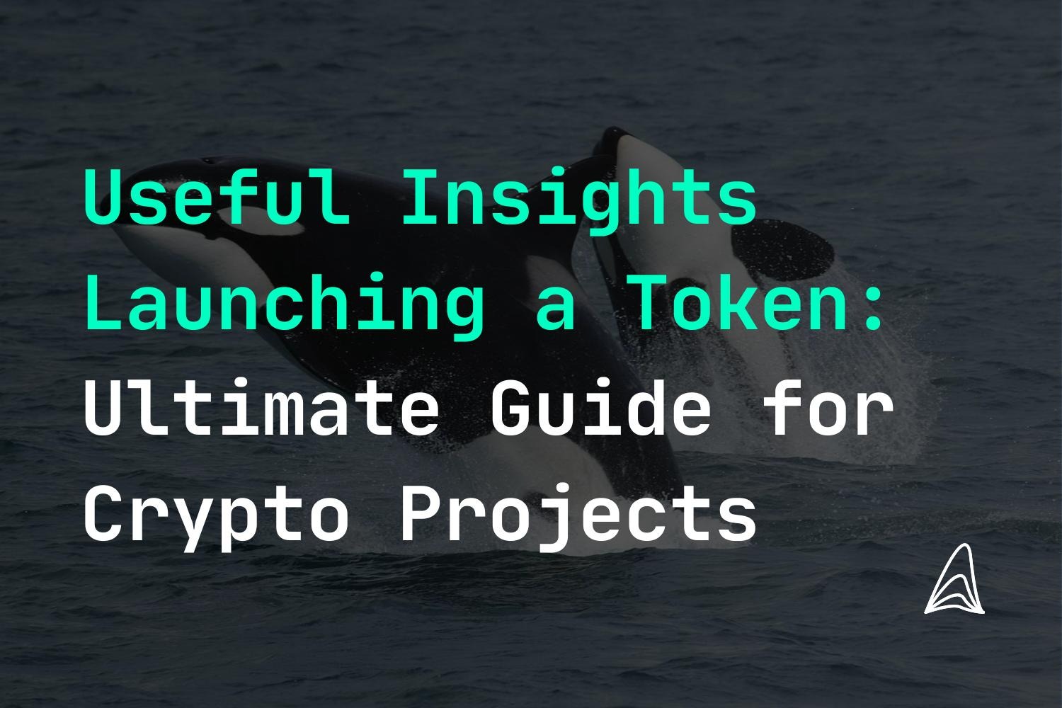 Launching a Token: The Ultimate Guide for Crypto Project