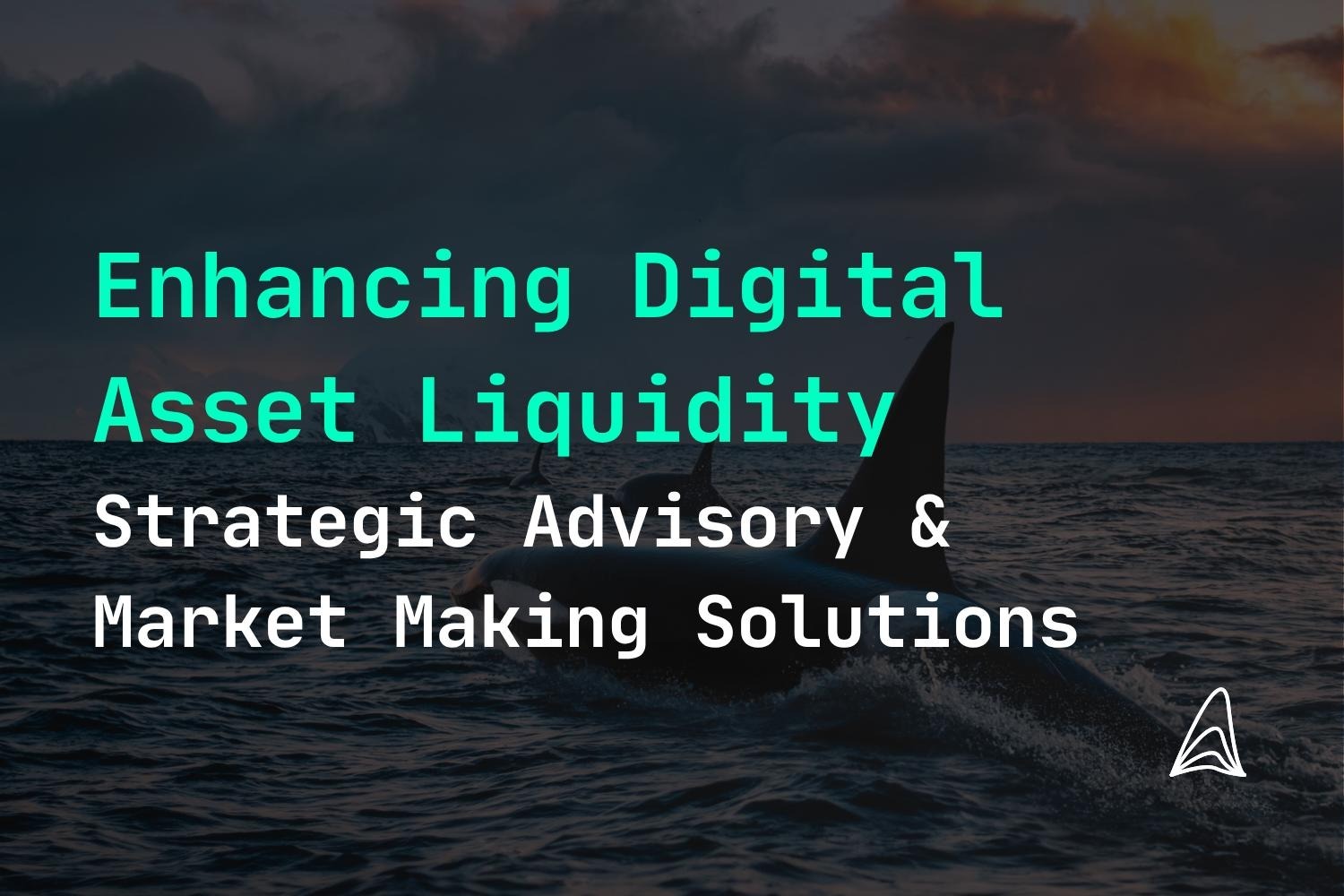 Digital Asset Liquidity Advisory Services | Orcabay